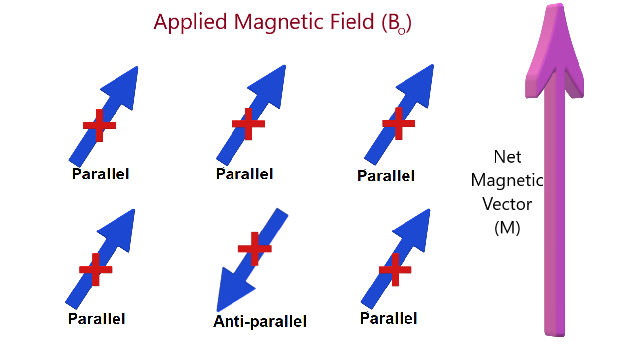 MRI : How does Magnetic Resonance Imaging work