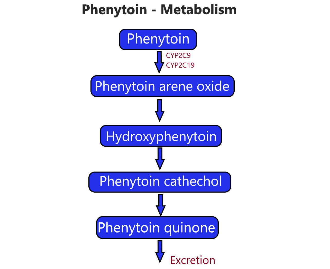 Pharmacokinetics - medreasons.com